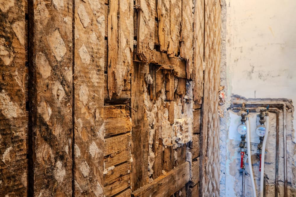 Termite Infestation Costs: Prevention vs. Damage Repair Guide - Bugs Pest